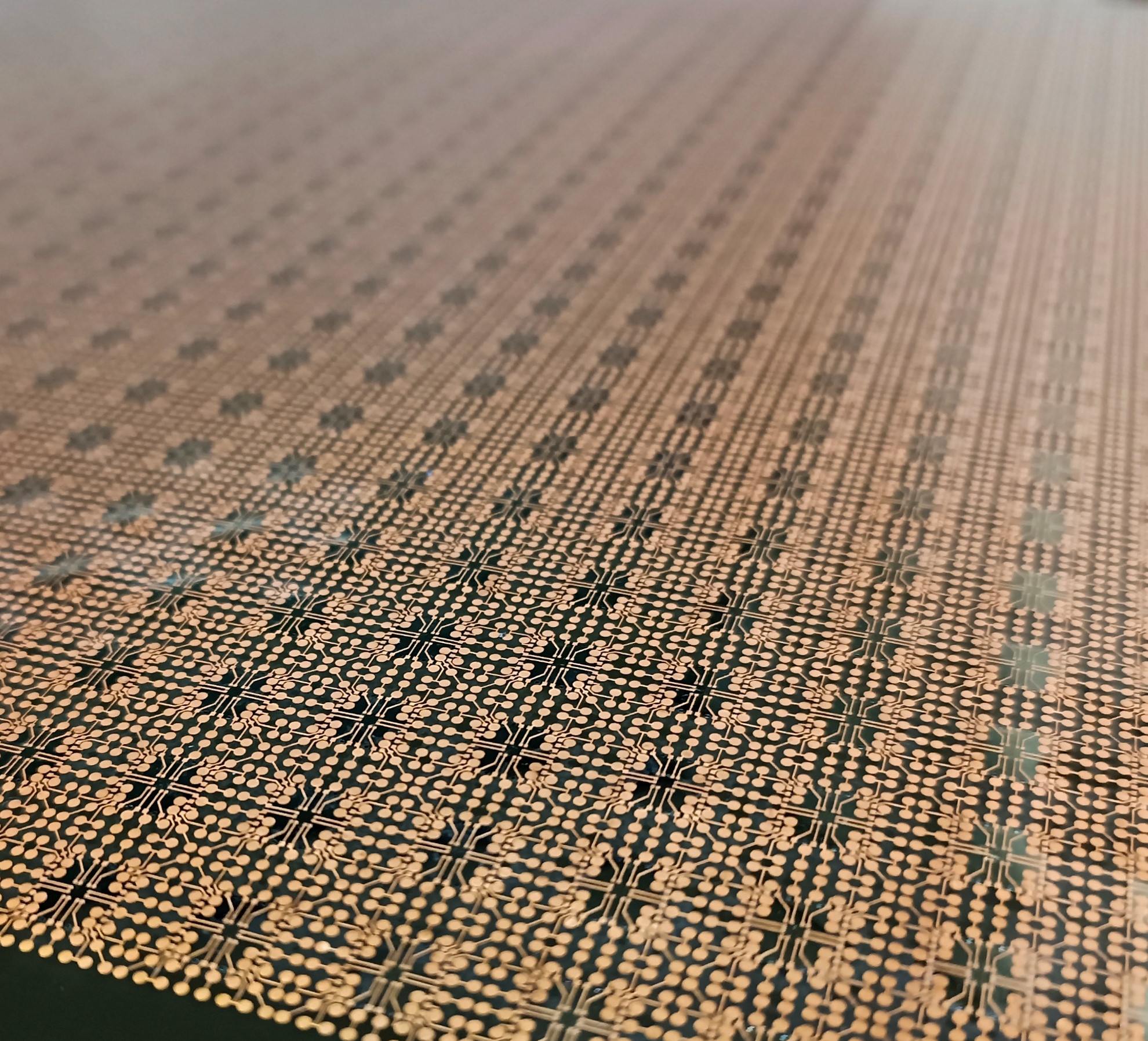 First-ever FOPLP demo in the Netherlands - CITC